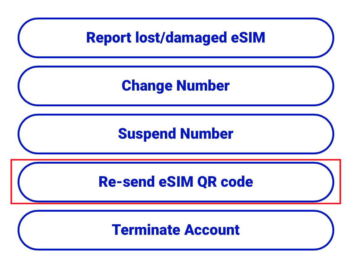 I did not receive the eSIM QR Code to install. What should I do ...